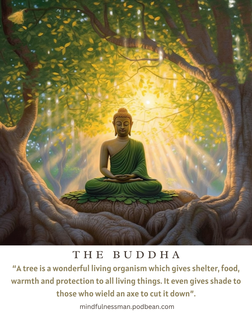 The Buddha on Trees