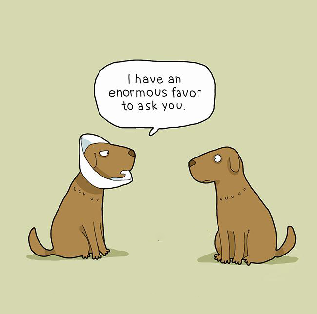 Do Me A Favor, Please! – Random Repeat